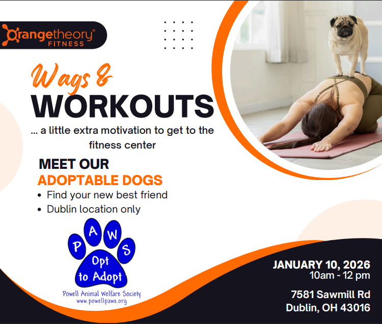 Wags & Workouts - Powell Animal Welfare Society (PAWS)
